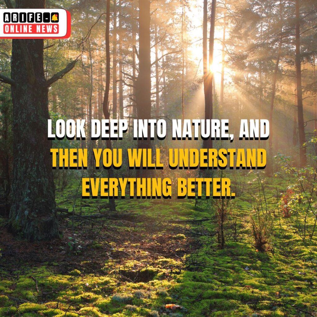30 Best Nature Quotes For Instagram In English
